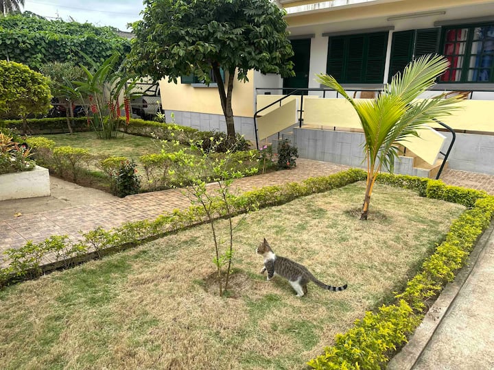 Casa Situada No Centro Da Cidade, Espaço Exterior. - São Tomé and Príncipe