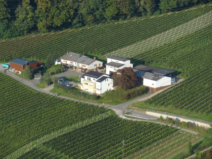 Ferienwohnung Auf Heidelberger Weingut - Heidelberg