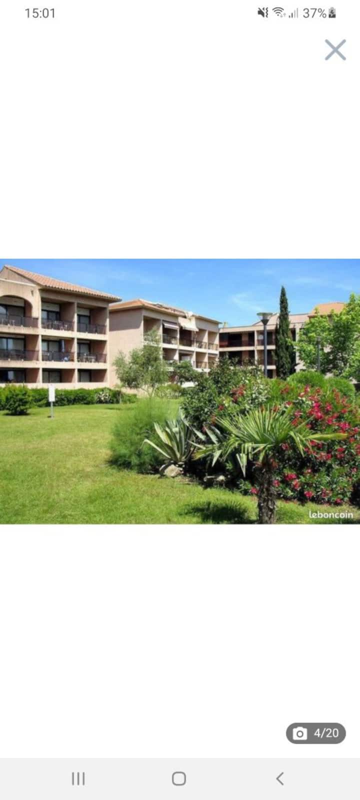 Appartement Tt Confort Dans Résidence Avec Piscine - Corsica