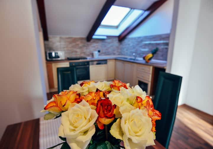 Apartment Popaj - Zadar