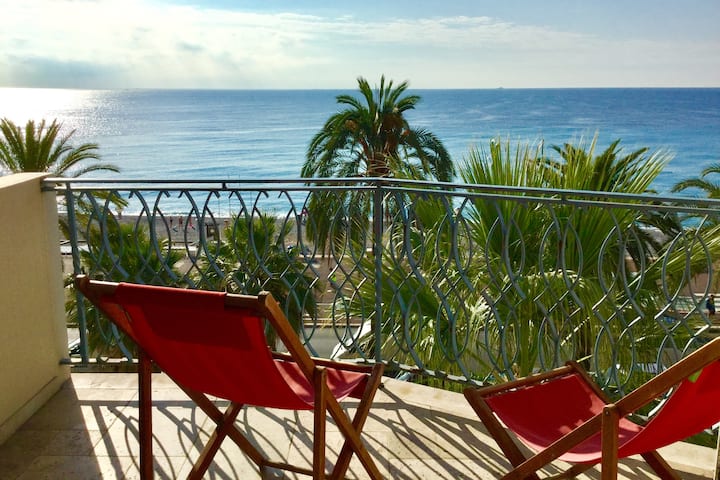 Grand Sud - Parc Phœnix - Nice