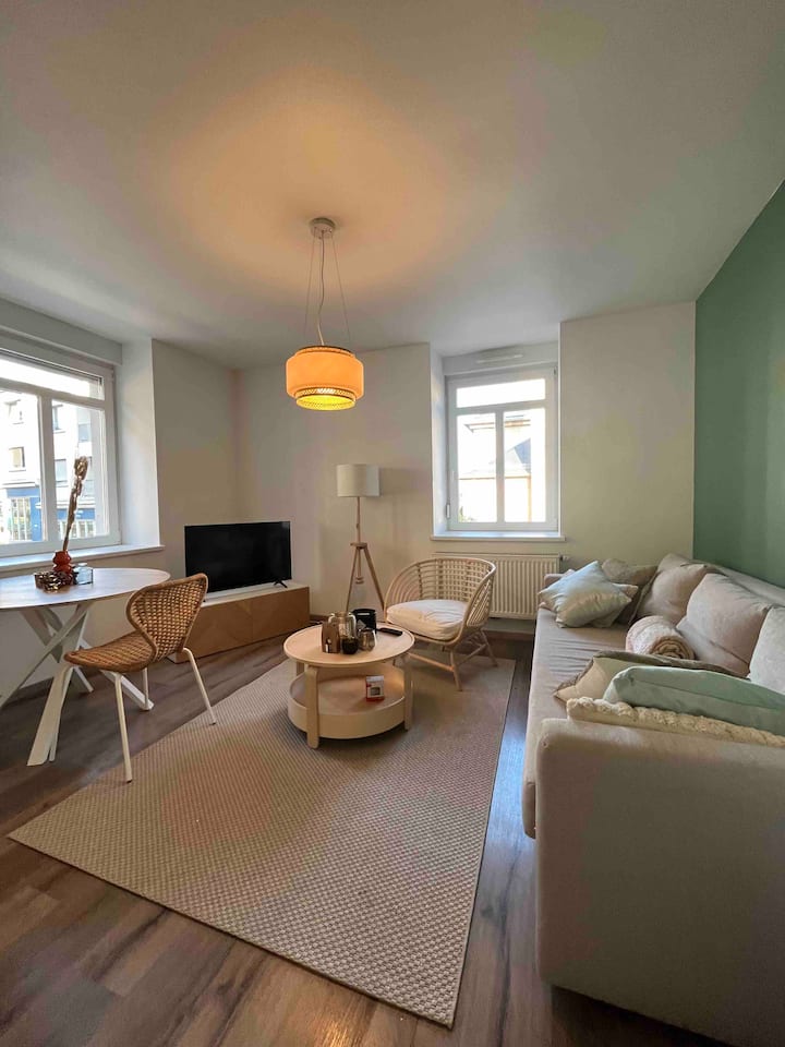 Appartement F2 - Centre Ville - Hambach