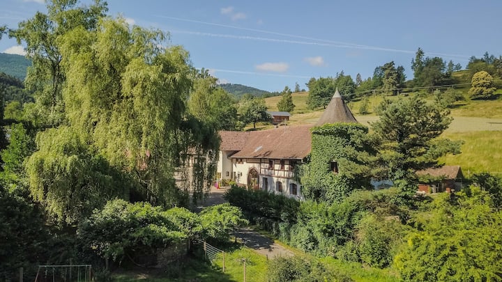 Gite Des Rosiers Du Domaine D'estary - アルザス