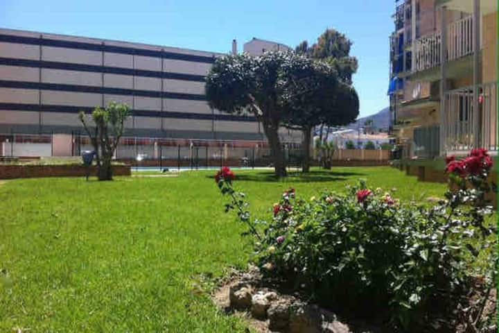 Piscina Junto Al Mar De Ensueño - Municipality of Torremolinos
