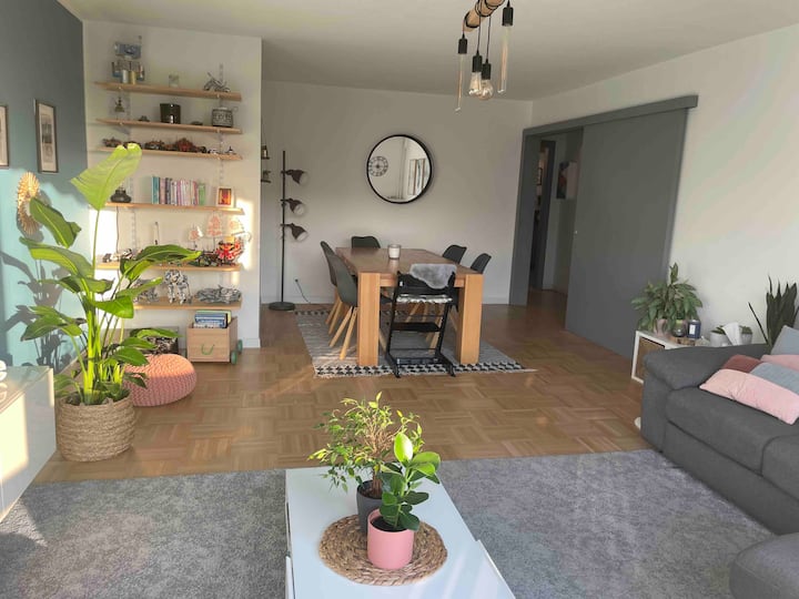 Appartement Spacieux Lumineux /Box Garage Fermé - 스트라스부르