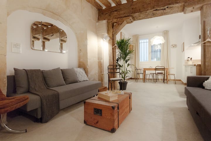 Historic District 1bd 6 People Loft - Párizs