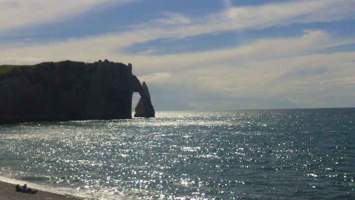Le Cormoran. Appt De Luxe Face A La Mer! - Étretat
