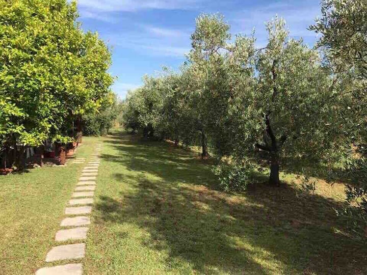 Appartamento Iris - Villa Pina - Castiglione della Pescaia