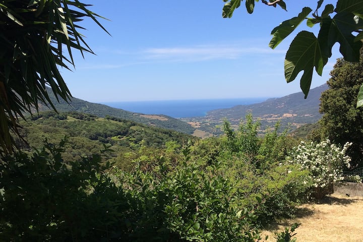 A Casa Colomba Ii - Corse-du-Sud