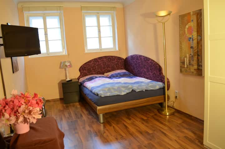 City-center-wohnung - Rakousko