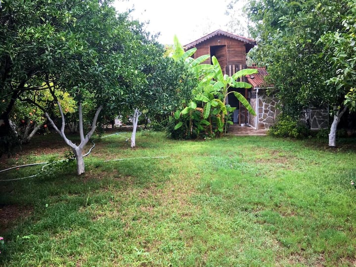 Charming ÇIrali House - Çıralı