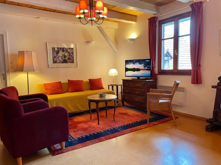 Gîte Tony - Charme Alsacien Au Calme - Dambach-la-ville