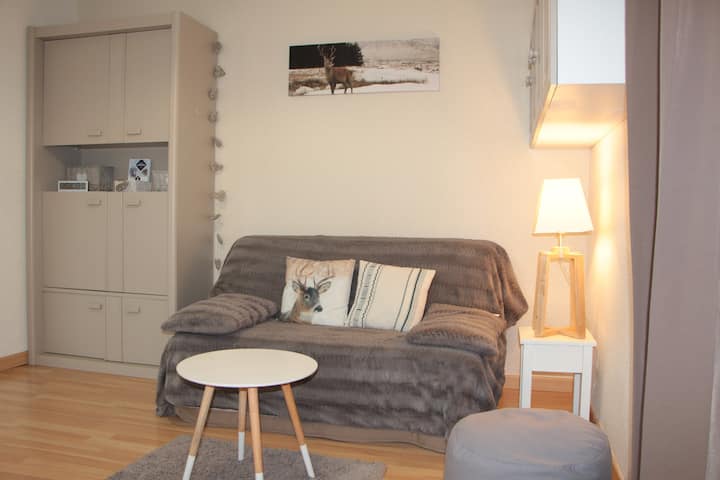 Appt Pasdelours 4/5 Pers Central Avec Parking - Lac du Pourtet