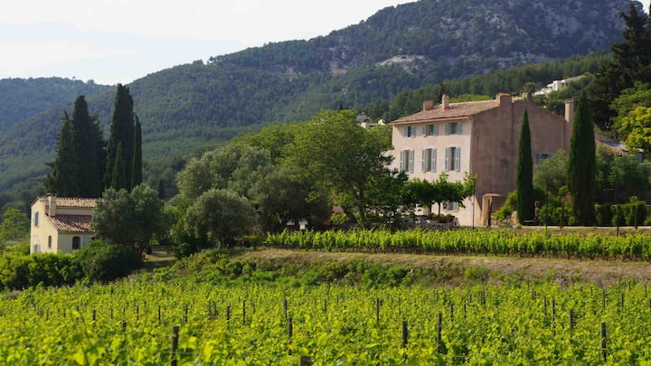 Bastide Provençale Au Milieu De 7ha De Vignes - Ollioules