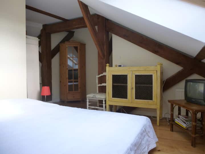 Studio Lumineux En Centre Ville, Quartier Calme. - Clermont-Ferrand