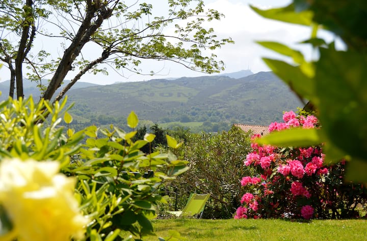 Apartment With Private Garden And Terrace - Saint-Jean-de-Luz