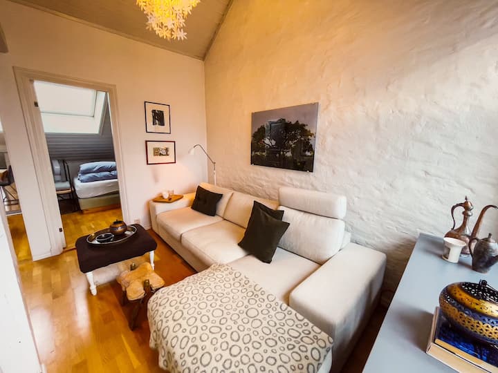 Lekker Loftsleilighet Nær Sentrum, St. Hanshaugen! - Oslo