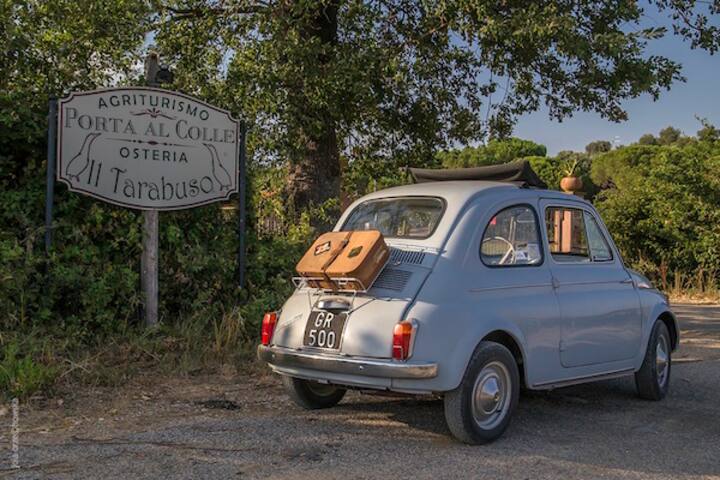 Casa In Agriturismo A Castiglione Della Pescaia - Castiglione della Pescaia