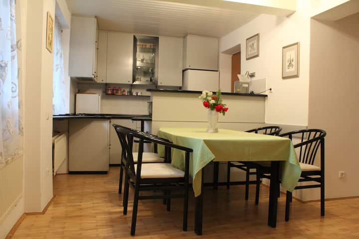 Lovely Old City-center Apartment - Ljubljana