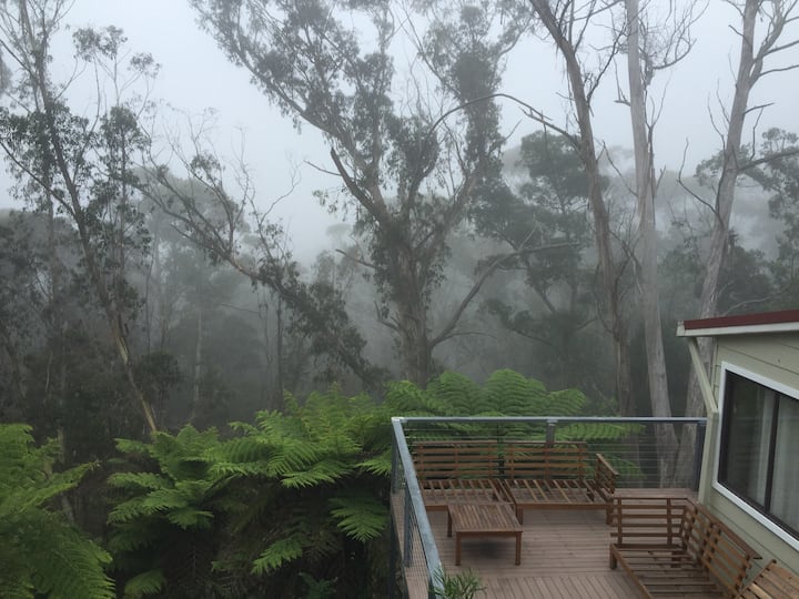 Silvergum - Blue Mountains