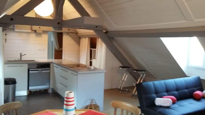 Beau Cosy T3 Dans Village Pittoresque Saint-savin - Argelès-Gazost