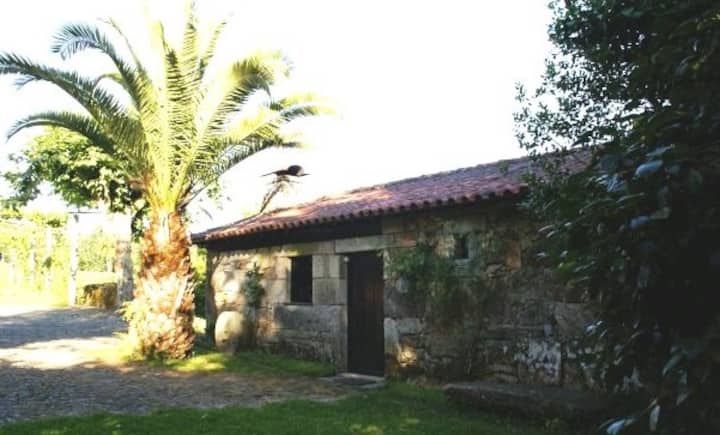 Quinta Da Ilha - Moinho - Pico Island