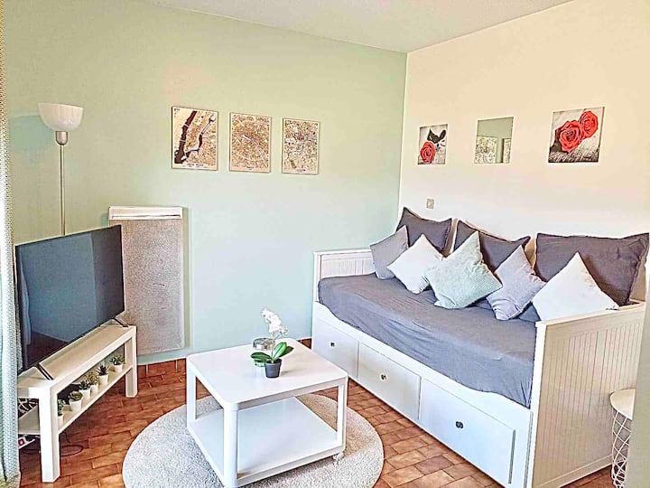 Embnb T204.3 | Charmant T1 Proche De Genève - Gaillard