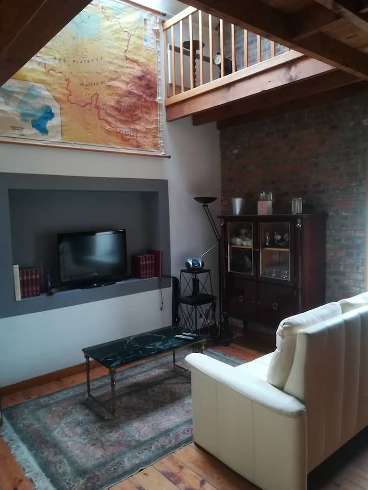 Cosy Full Service - Apparthotel - Tongern