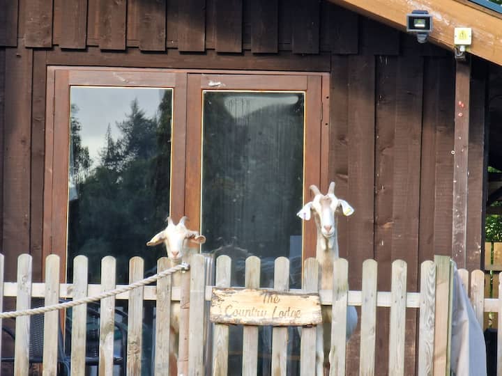 Swiss Country Lodge With Hot Tub - Llandrindod Wells