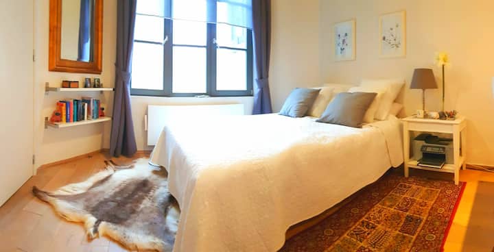 Appartement Charmant Et Luxueux à Bruxelles Centre - Evere
