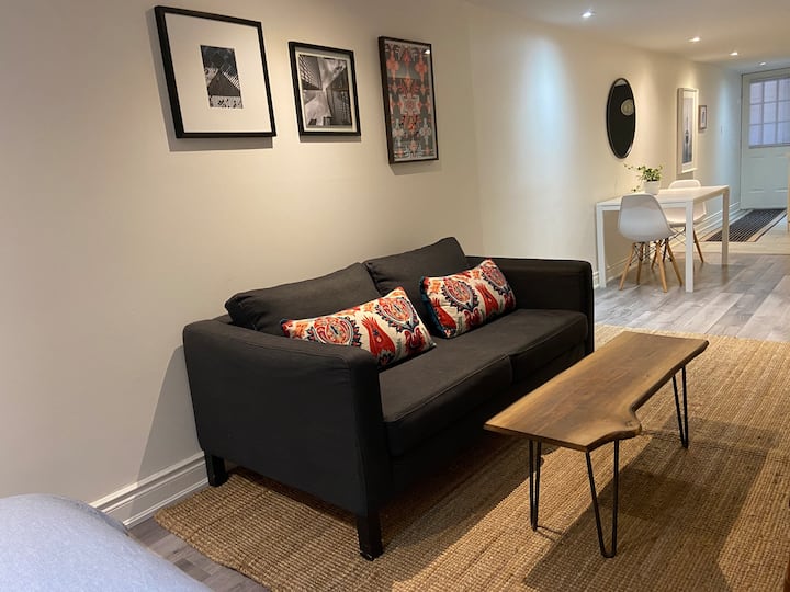 Downtown Toronto Spacious Studio - Toronto