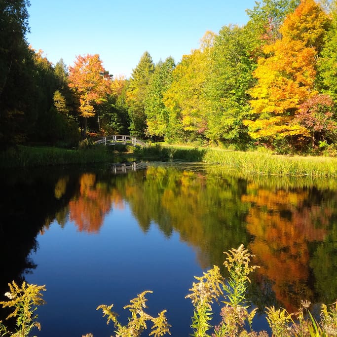 Heated Treehouse (all amenities) and Fall Colours - Treehouses for Rent ...