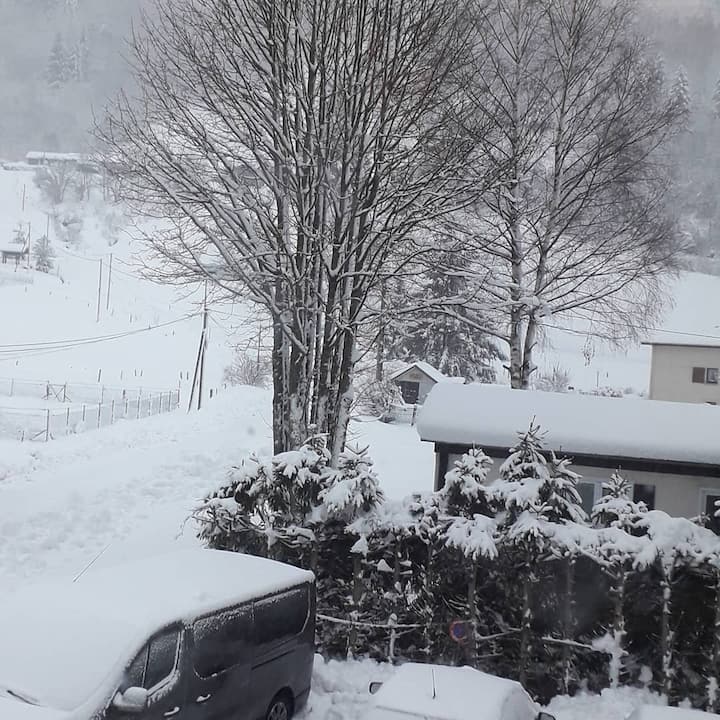 Appartement 4 Personnes à La Bresse - La Bresse