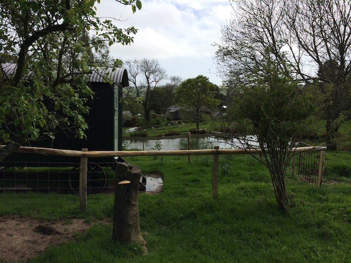 Beautiful Shepherds Hut With Views - Swanage