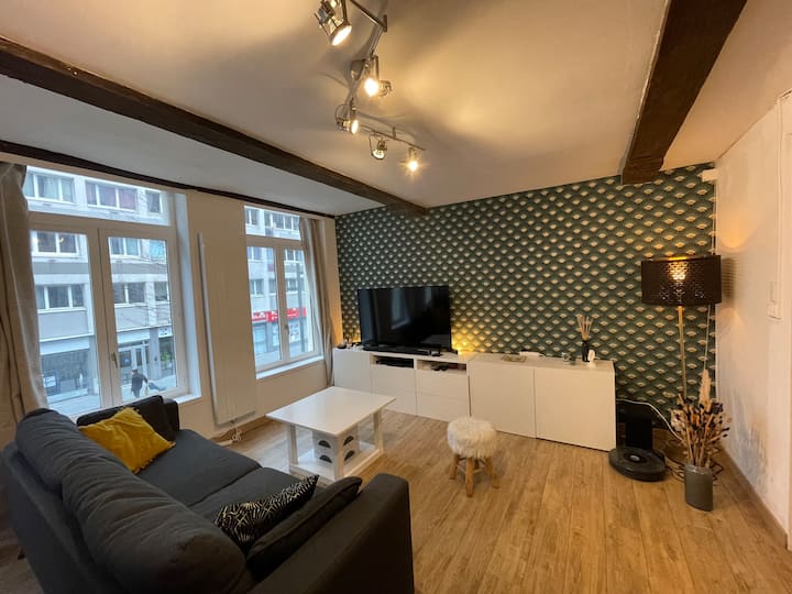 Appartement Hypercentre à Lille 53m2 Lumineux/neuf - Lille
