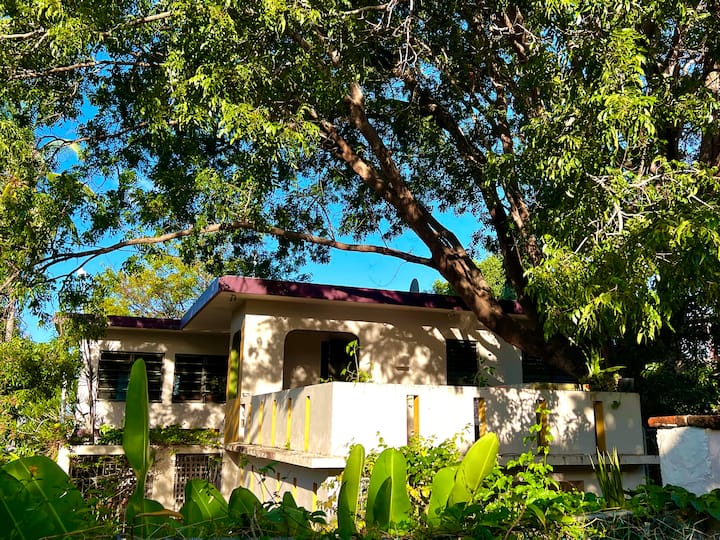 Vieques Elephant House - Vieques