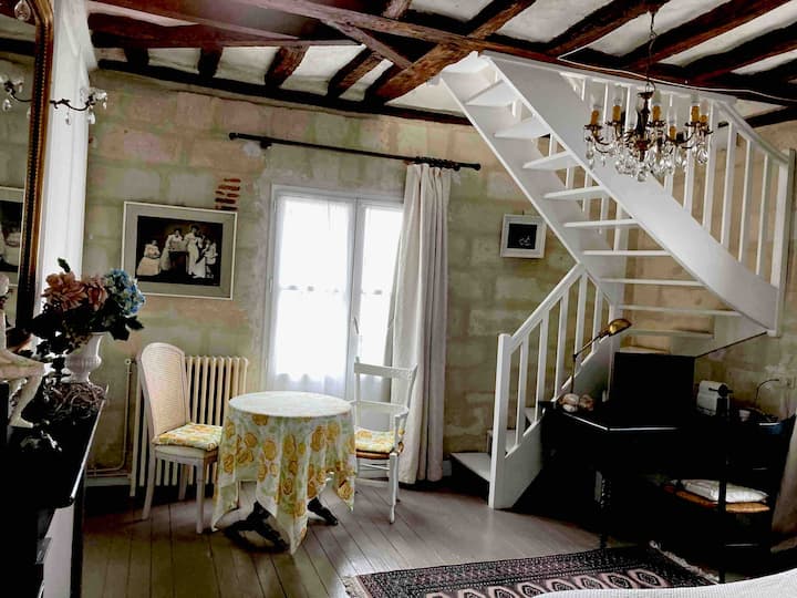 Studio De 25m2 Avec Terrasse - Tours