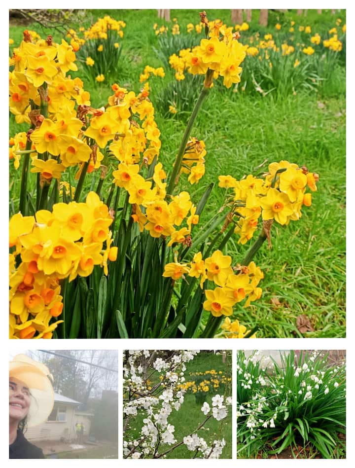 Deluxe Exclusive
Retro Retreat - Launceston