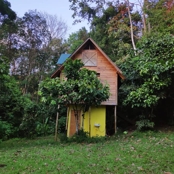 Sunset Sweet Off The Grid Living Solar Cabin - Port of Spain