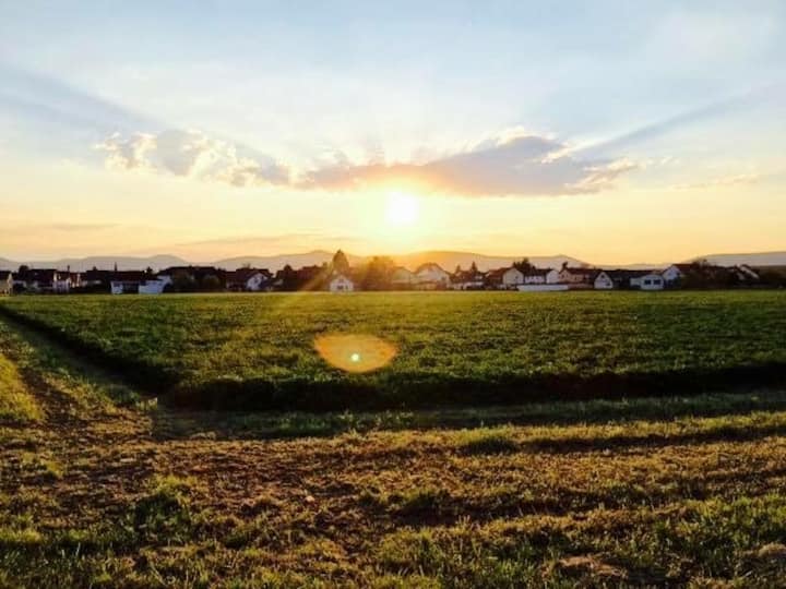 Modernes Wohnen Im Alten Bauernhaus - Burrweiler