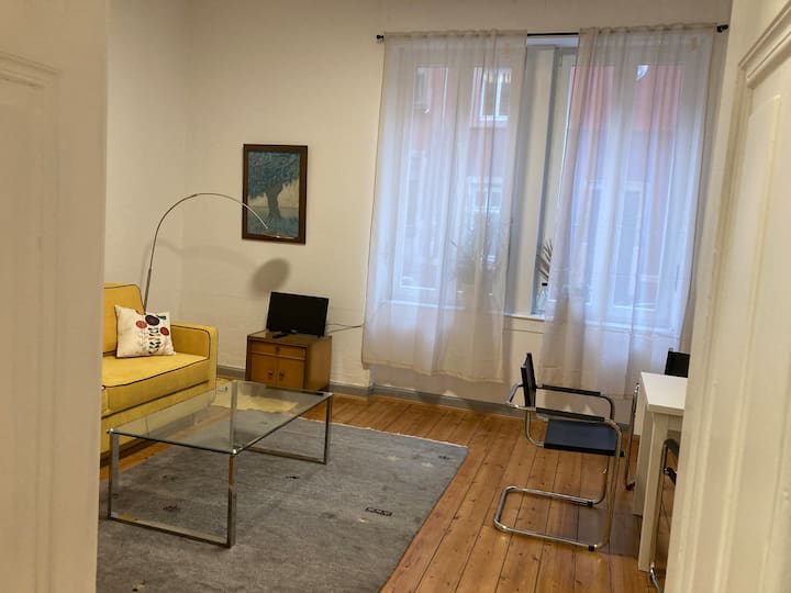 Stilvolle Stadtwohnung - Sarrebruck