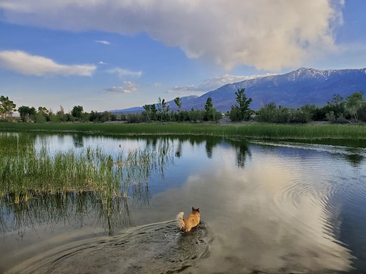 Lakeside Cabin D In The Eastern Sierras - Cartago, CA