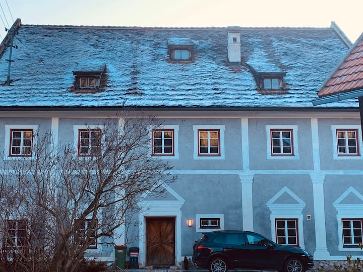 Big Chalet For Families Or Groups Near Vienna - Austria