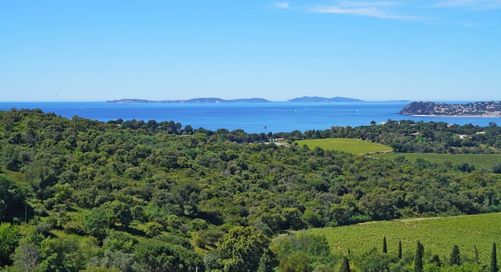 La Croix-valmer : Mer Et Vignes Au Kensington - La Croix-Valmer