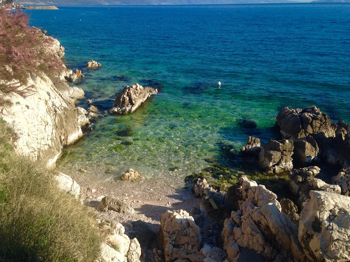 Studio Apartment With Sea View Viki - Novi Vinodolski
