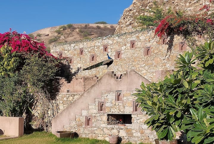 Serene (Amber Palace 10 Min Walking Distance) - Jaipur