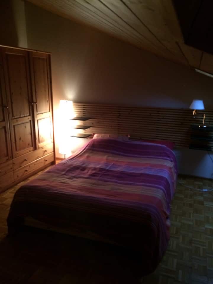 Grande Casa Immersa Nella Natura - Lugano