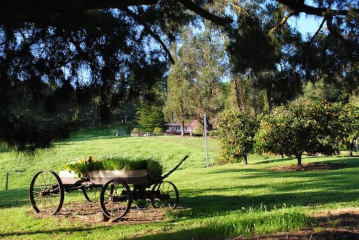 Edenside Cottage - Mundaring
