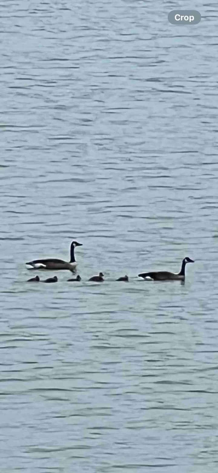 Cozy Riverside Cabin In Harrington - Columbia Falls, ME