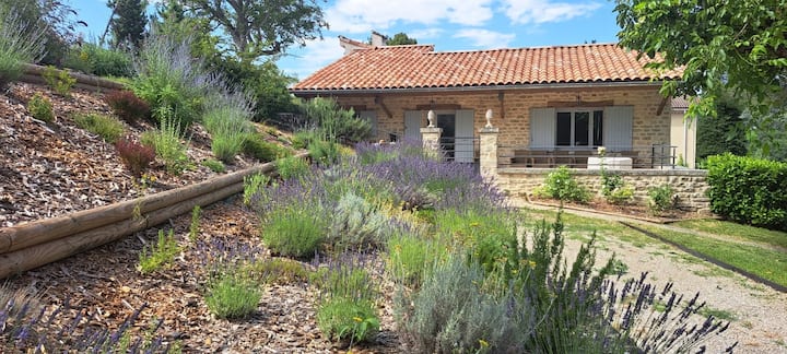 Gite La Blancherie Forcalquier - Forcalquier